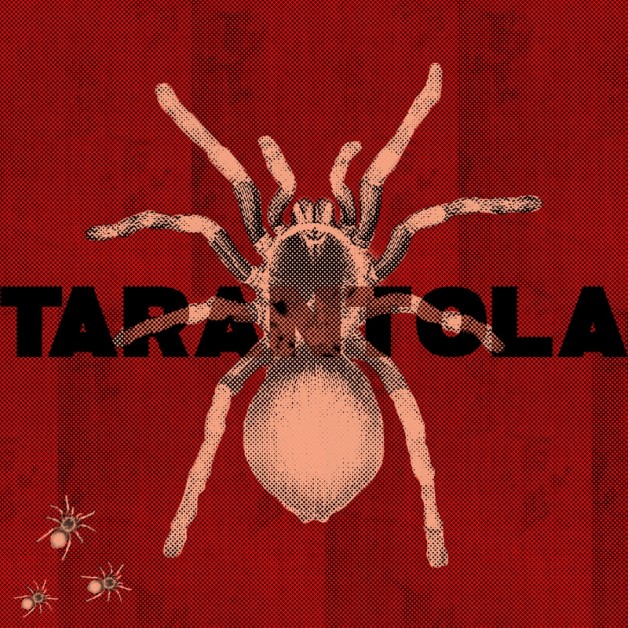 Seta torna a stupire in “Tarantola”, un suggestivo creepy-pop che esorcizza il dolore per ...